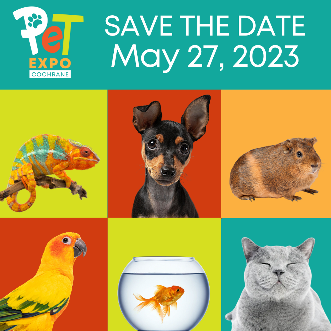 Cochrane Pet Expo Quirk Social Cochrane Pet Expo Quirk Social